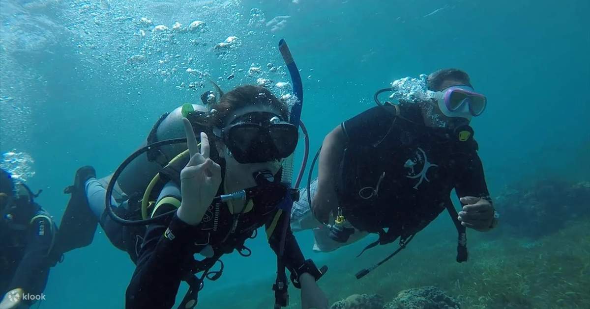 在 PADI 5 星級 IDC 度假村體驗宿霧 PADI 水肺潛水體驗 - Klook 客路